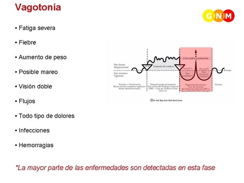 ZZZZ VAgotonía - sofiaoriginals
